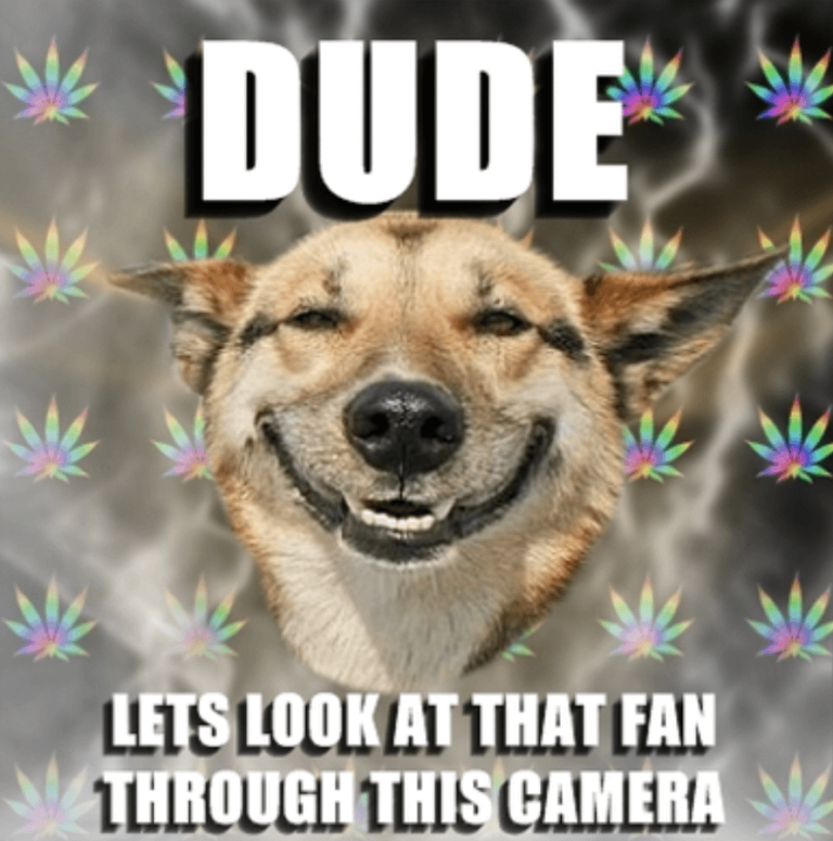 20 High Dog Memes That'll Make You Howl With Laughter