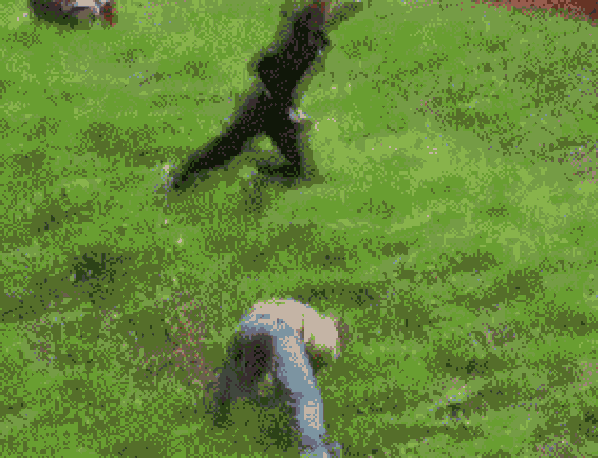 29 People Losing the Battle against the Law of Gravity - BlazePress